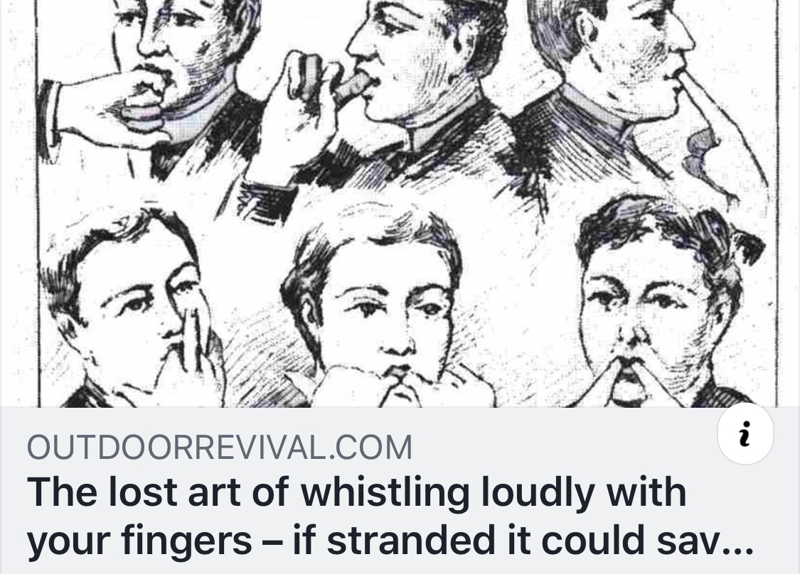 Whistle While You Work.. – Bitchin’ in the Kitchen